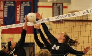 Positive thoughts: Hart optimistic as Lady Colonials seek third ...